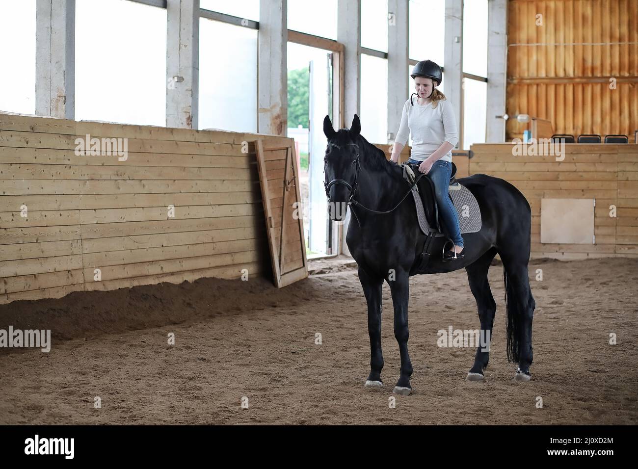 Young people on a horse training in a wooden arena Stock Photo - Alamy