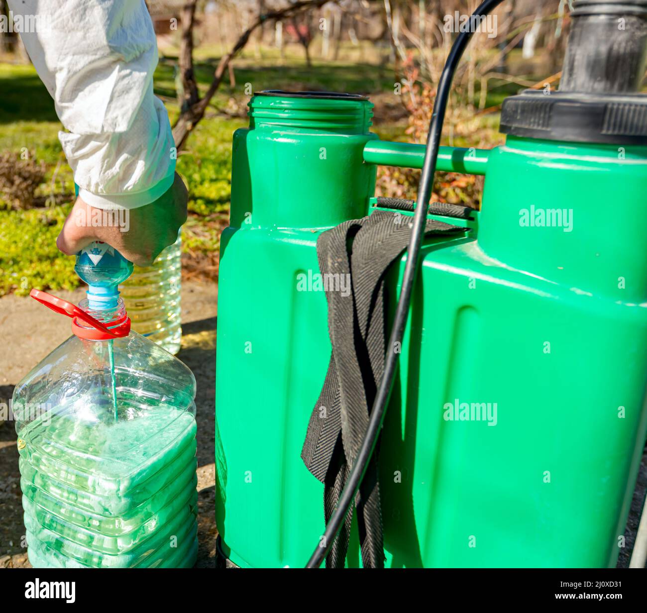 Farmer is preparing mixture of water and botanical solutions of ...