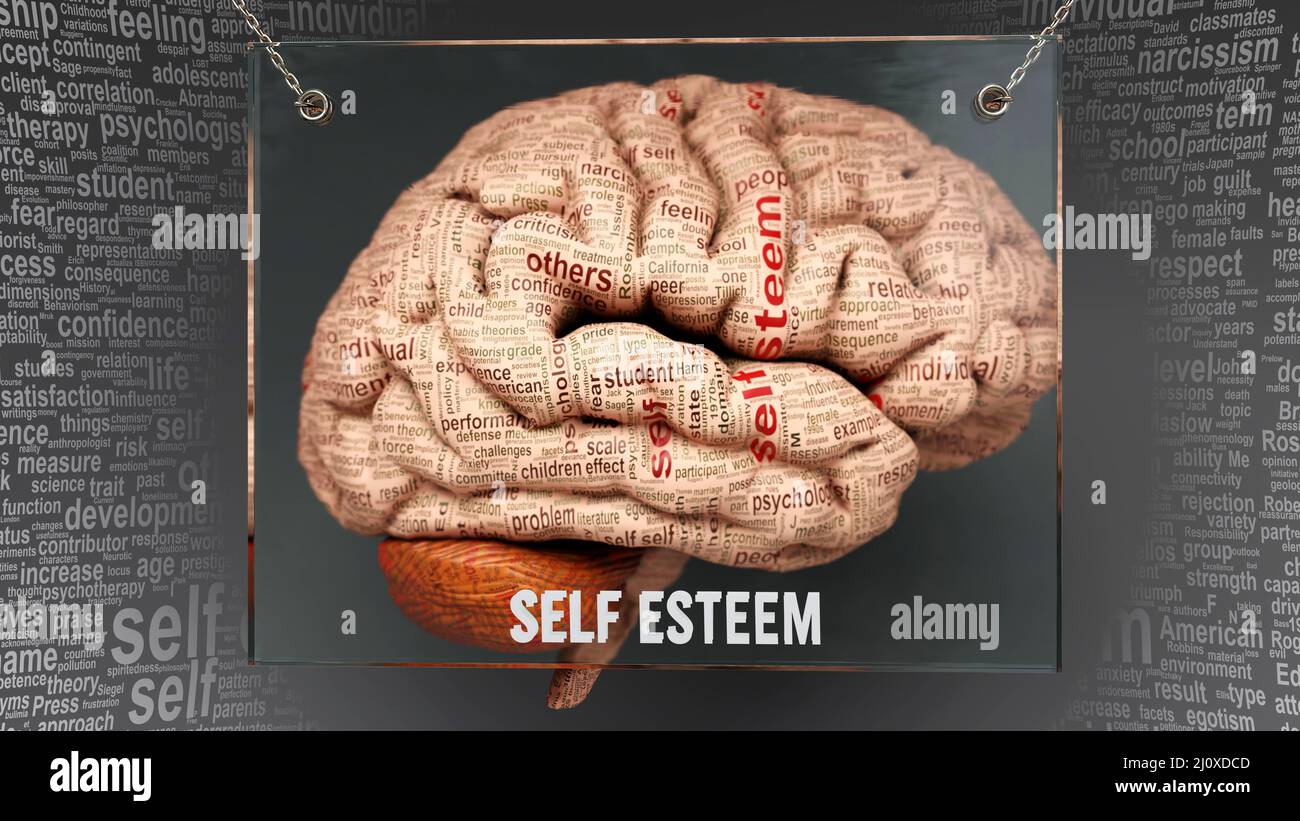Self esteem anatomy - its causes and effects projected on a human brain ...