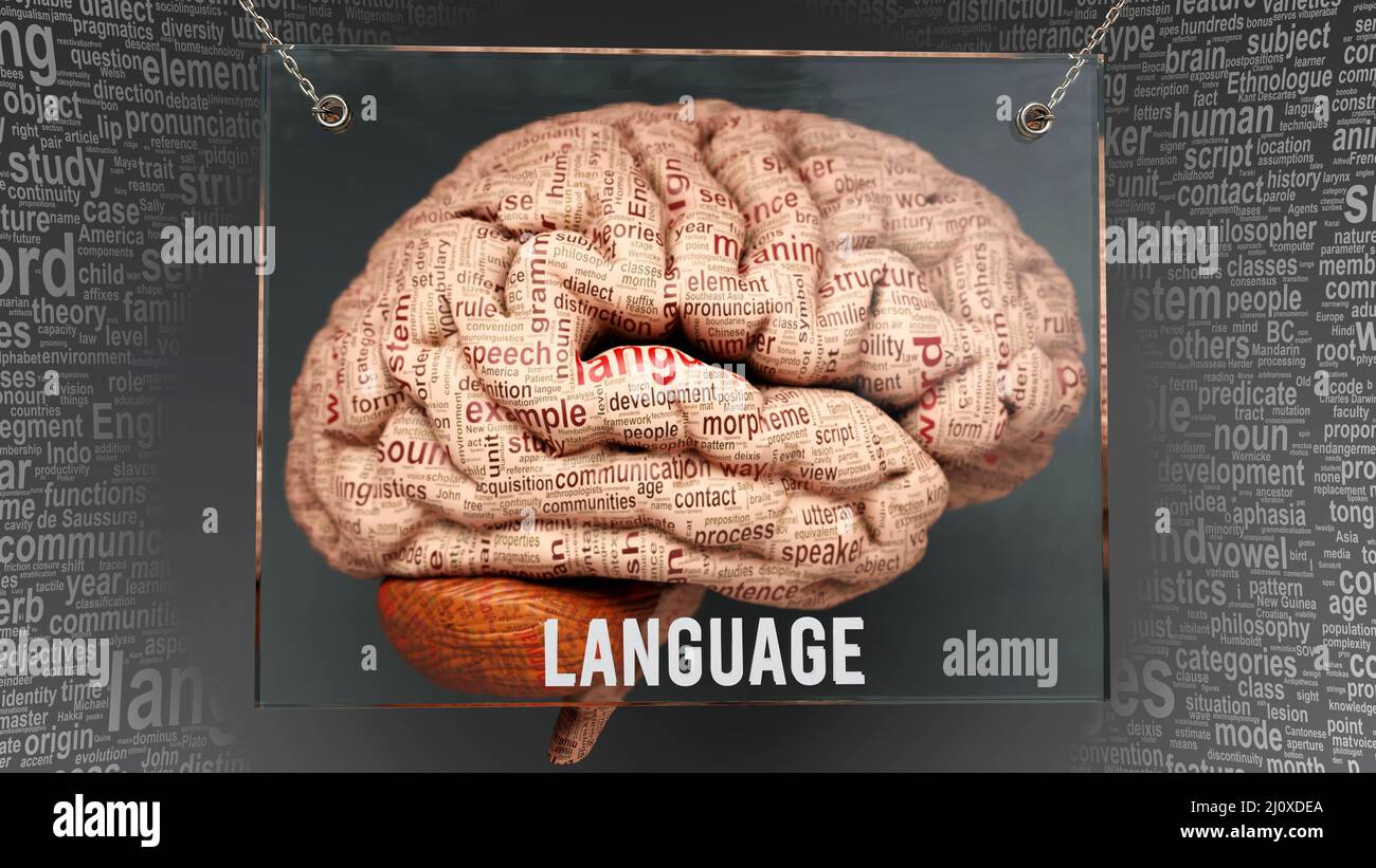 Language anatomy - its causes and effects projected on a human brain ...