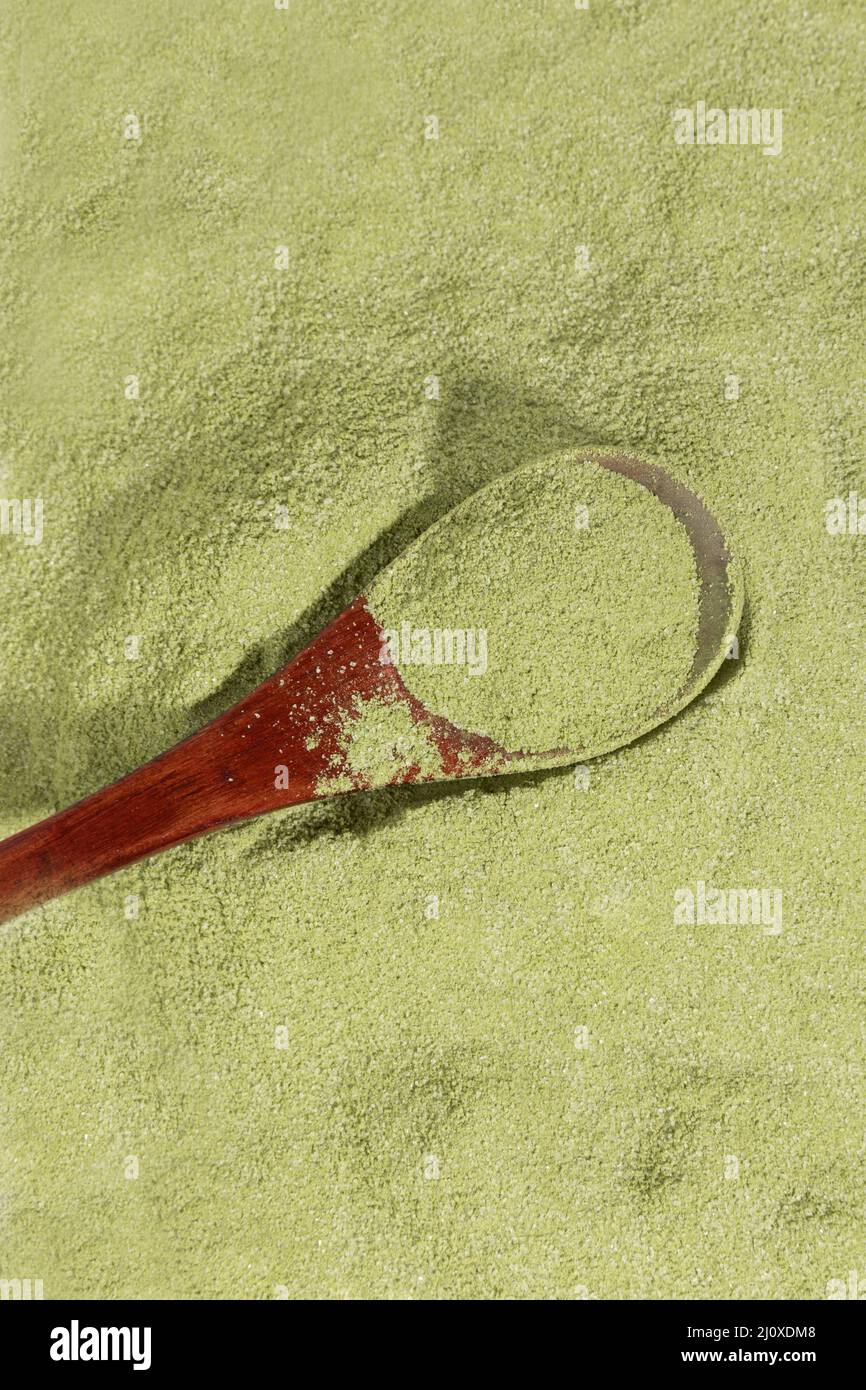 Matcha green tea powder and spoon in white background Stock Photo - Alamy