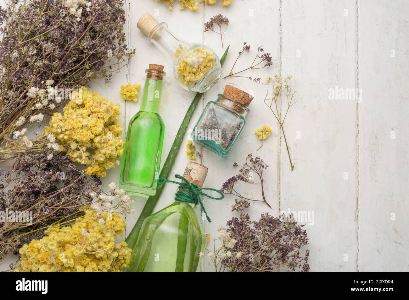 Medicinal herbs in glass jars on a light background, with an empty ...