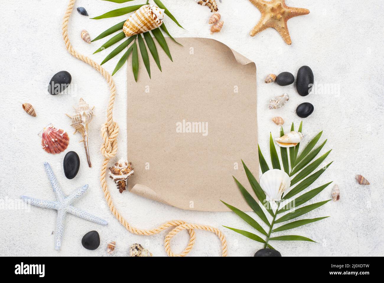 Starfishes shells frame Stock Photo - Alamy Starfishes shells frame Stock Photo - Alamy