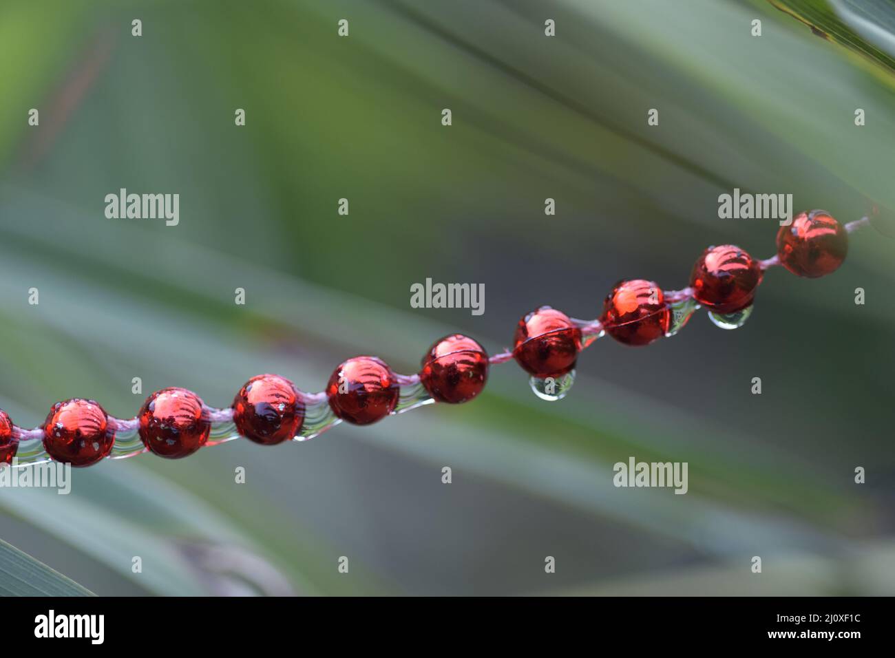 chain of baubles on plant, england Stock Photo - Alamy