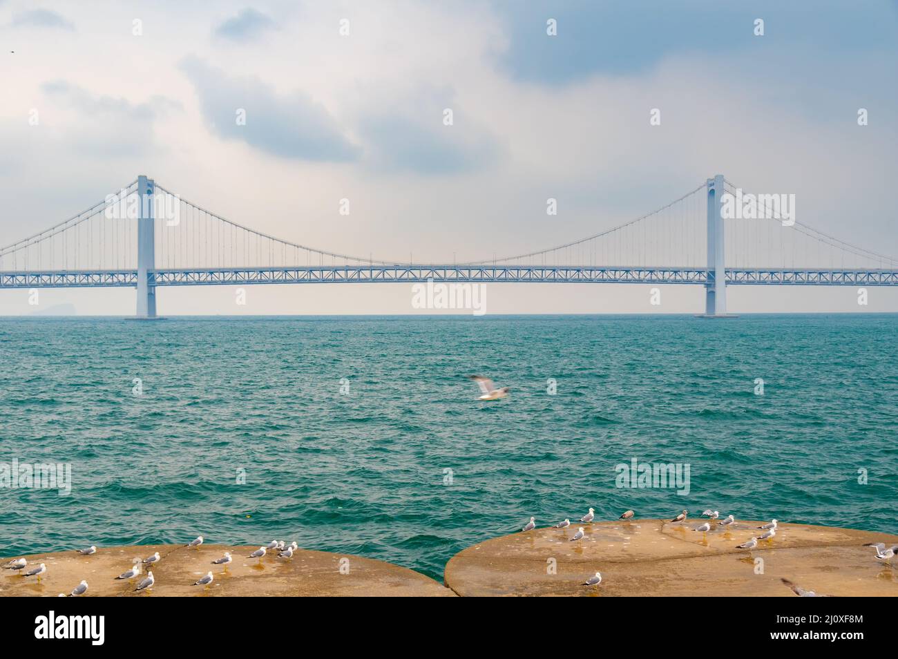 The scenery of Xinghai Bay in late Summer, Dalian, China Stock Photo ...