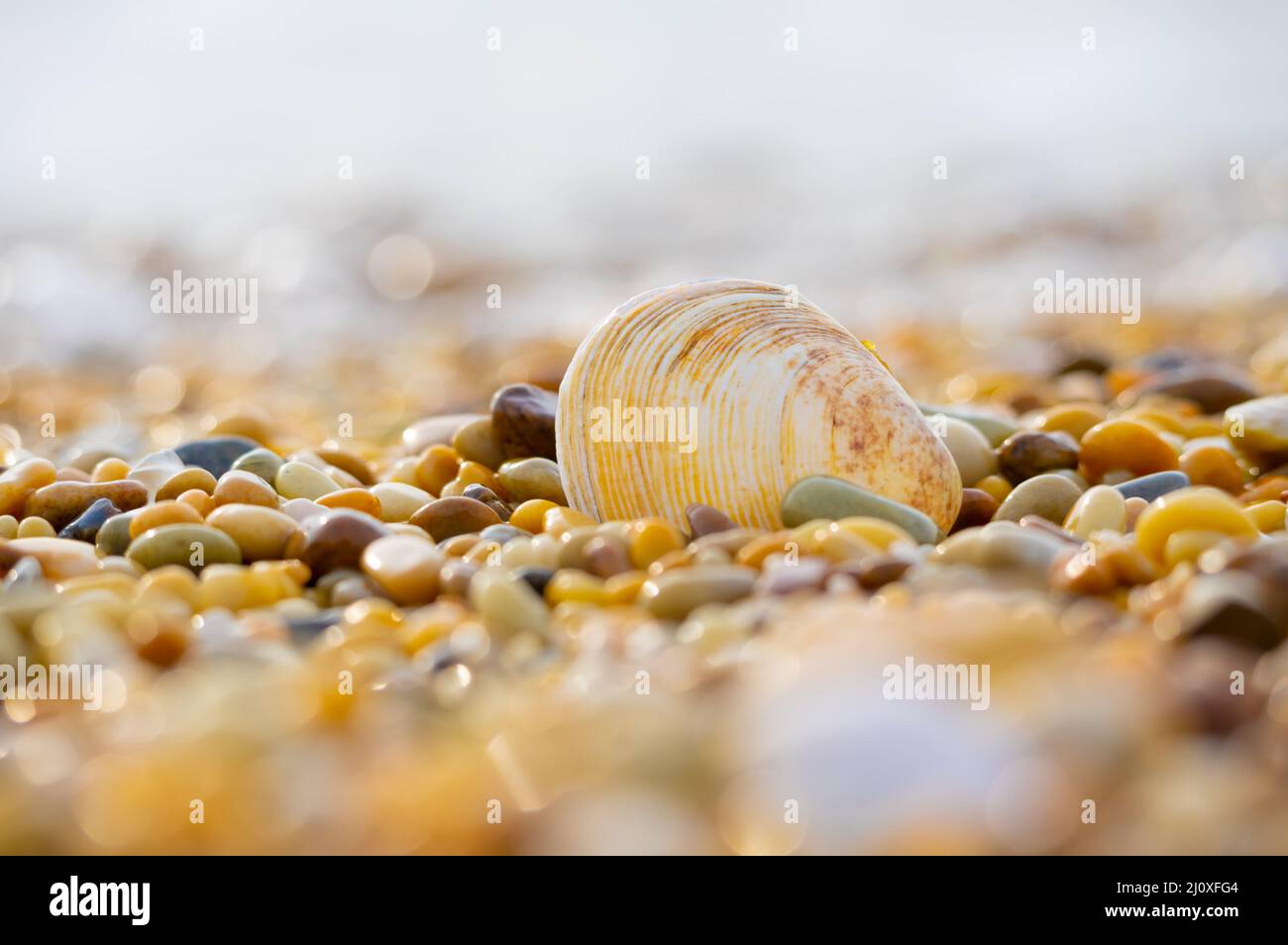 The scenery of Xinghai Bay in late Summer, Dalian, China Stock Photo ...