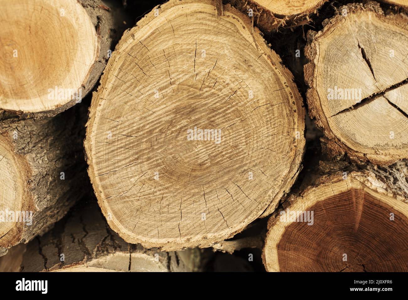 Top view wood logs Stock Photo - Alamy