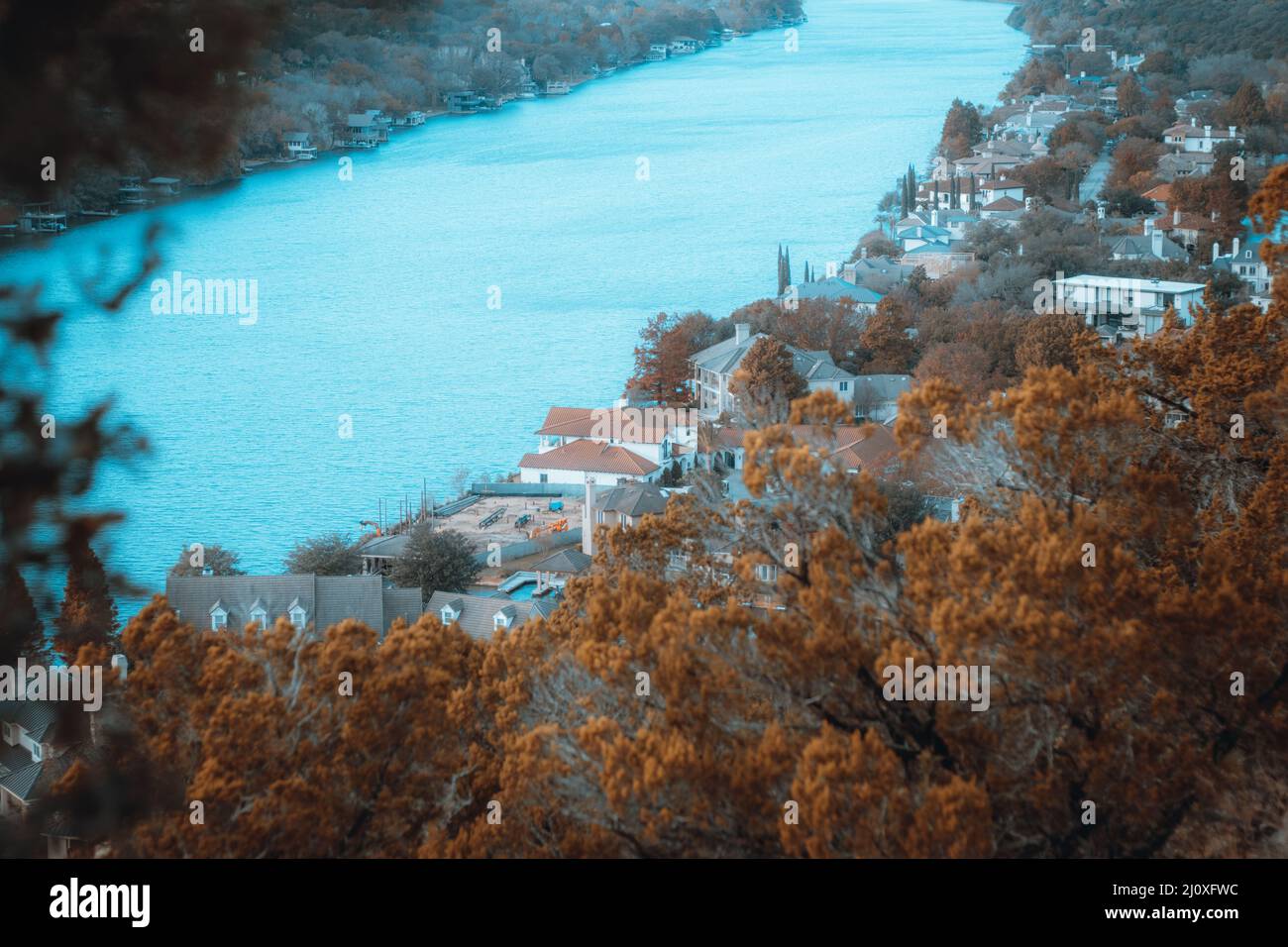 Austin texas vegetation hi-res stock photography and images - Alamy