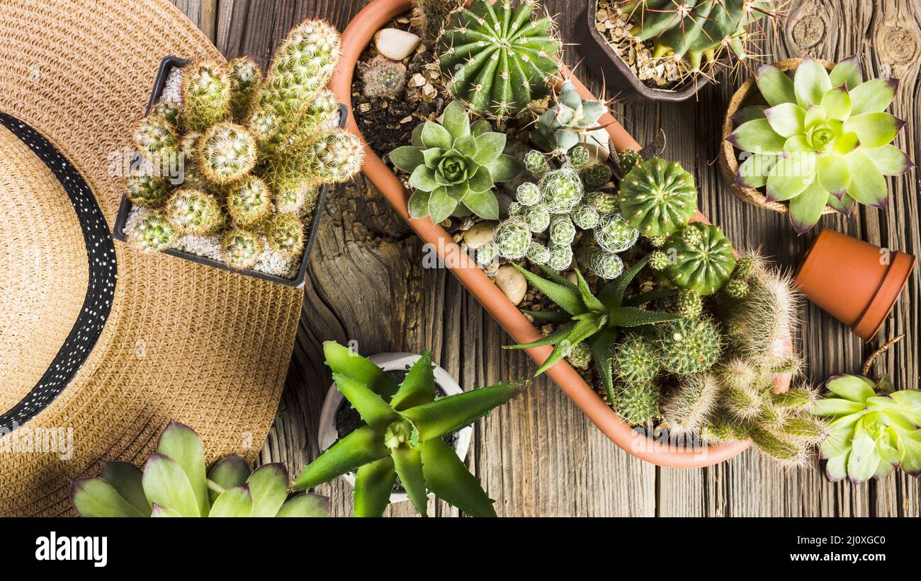 Quality tools hi-res stock photography and images - Alamy