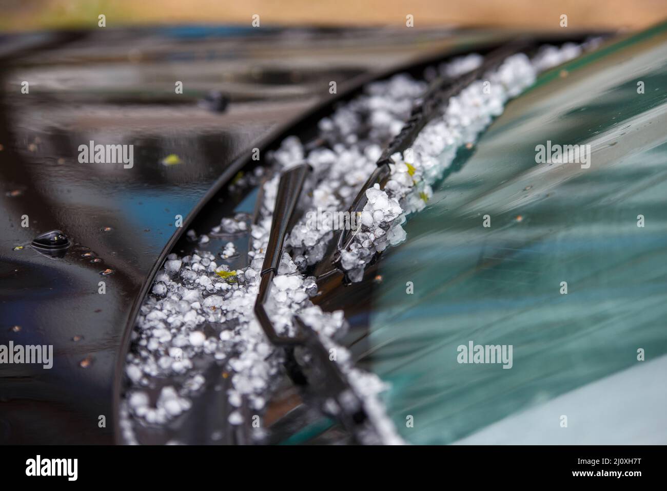 small hail ice balls on black car hood after heavy summer storm Stock ...