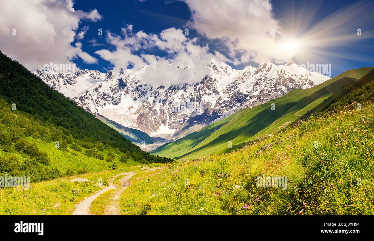 Alpine meadows at the foot of Mt. Shkhara. Upper Svaneti, Georgia ...