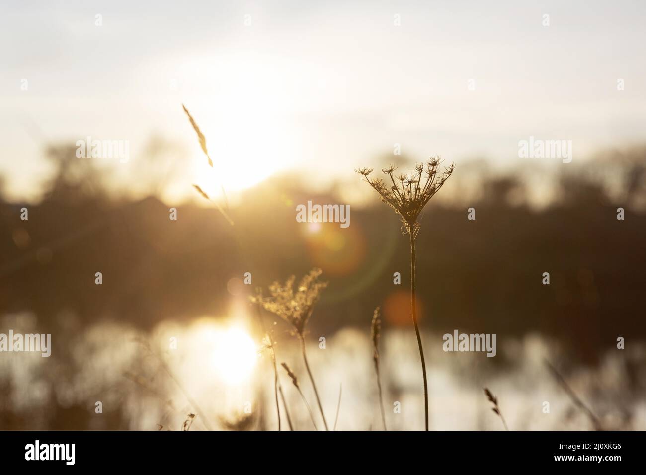 Peaceful outdoor view hi-res stock photography and images - Alamy