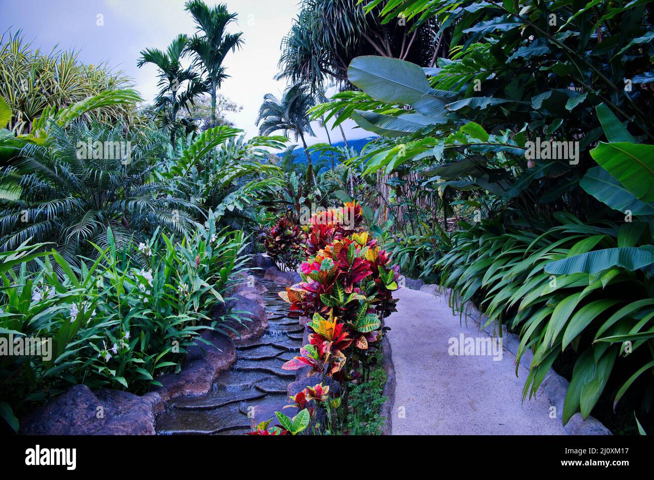 Tropical garden in resort in Costa Rica Stock Photo - Alamy