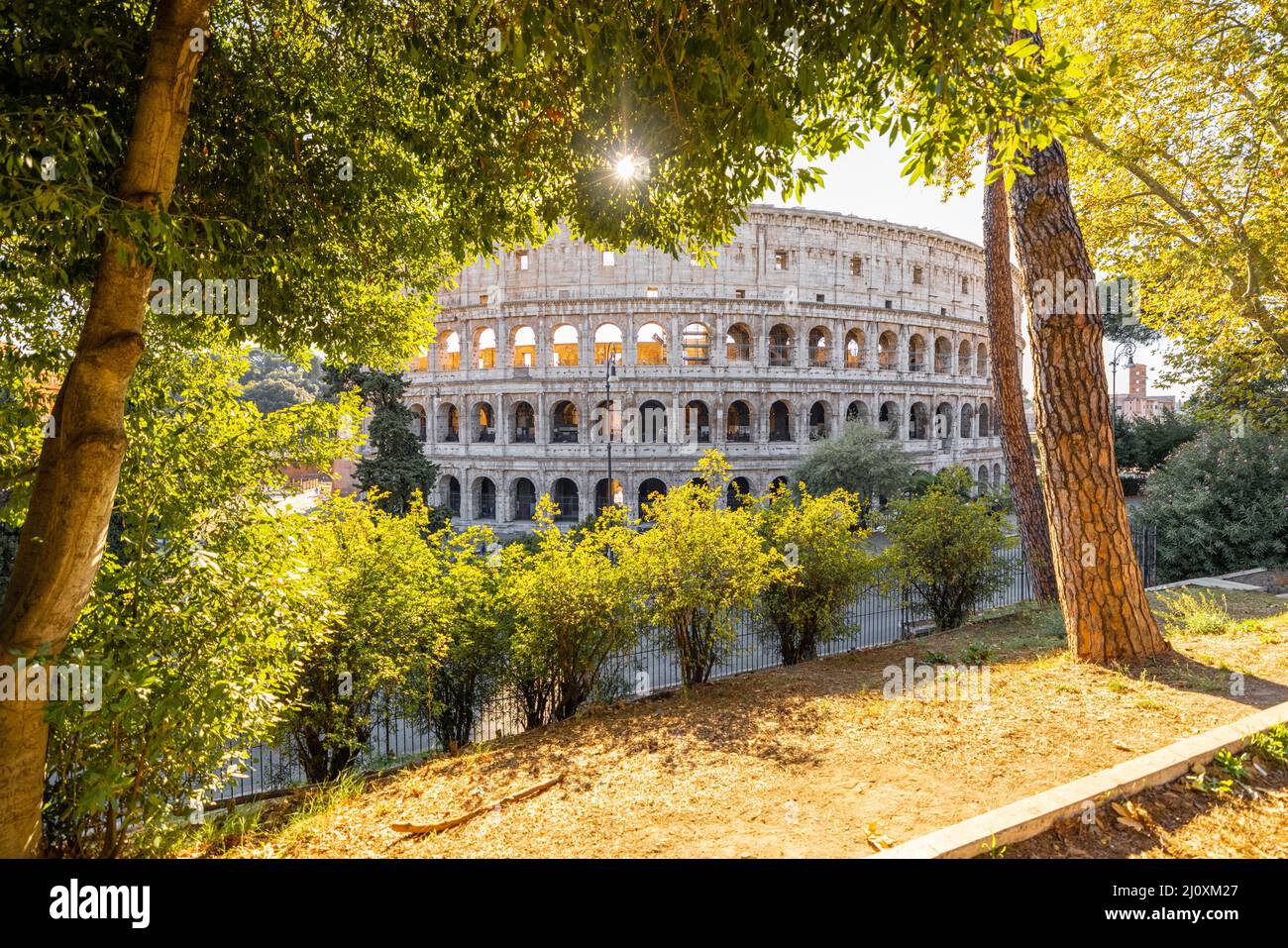 View of Colosseum through trees in park Stock Photo - Alamy