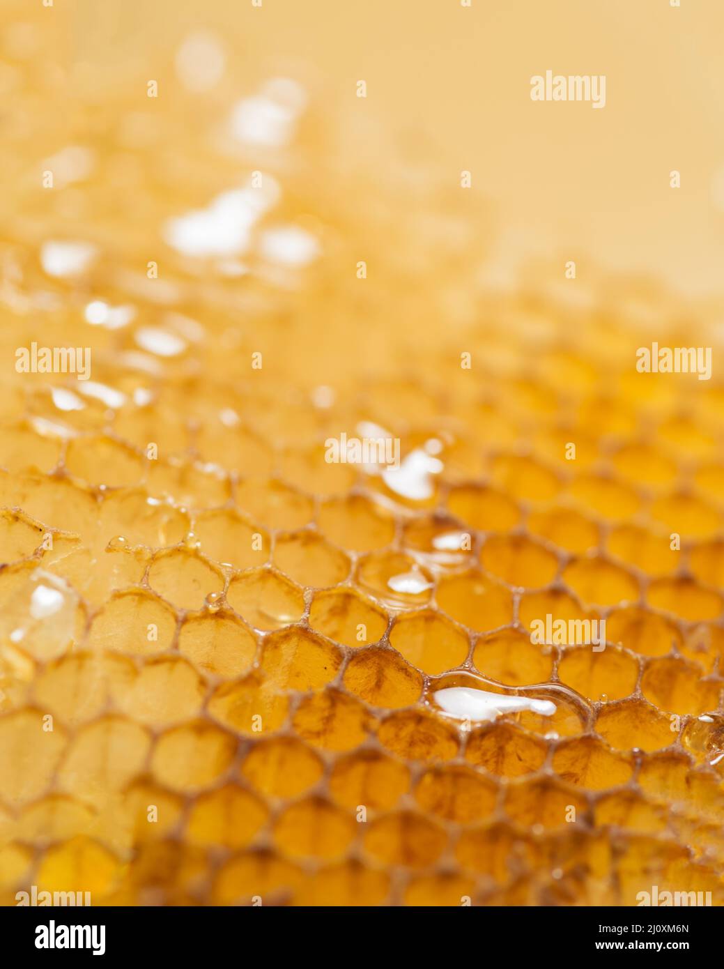 Close up honeycomb high quality hi-res stock photography and images - Alamy