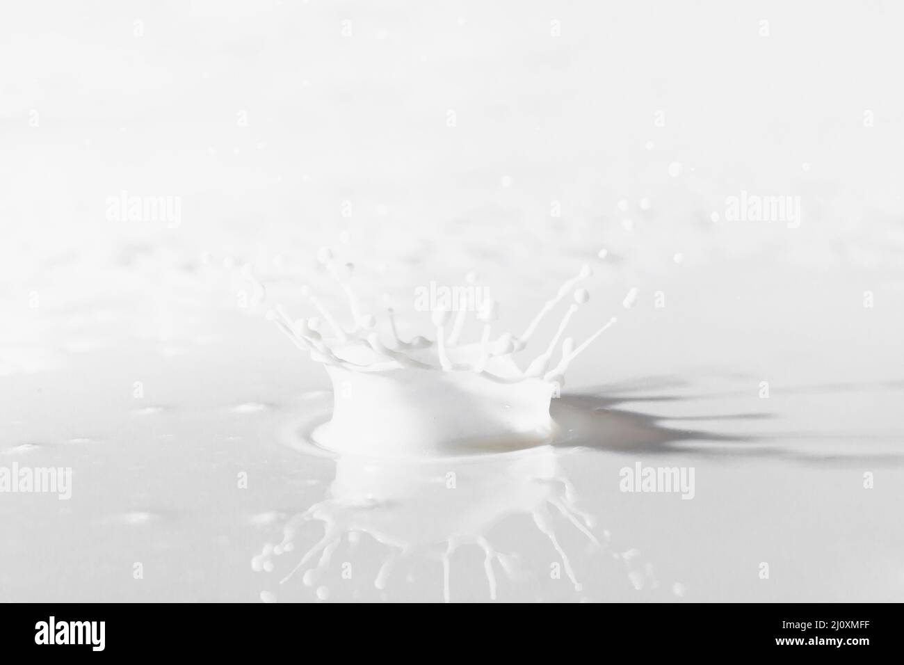 Splash Photography Milk