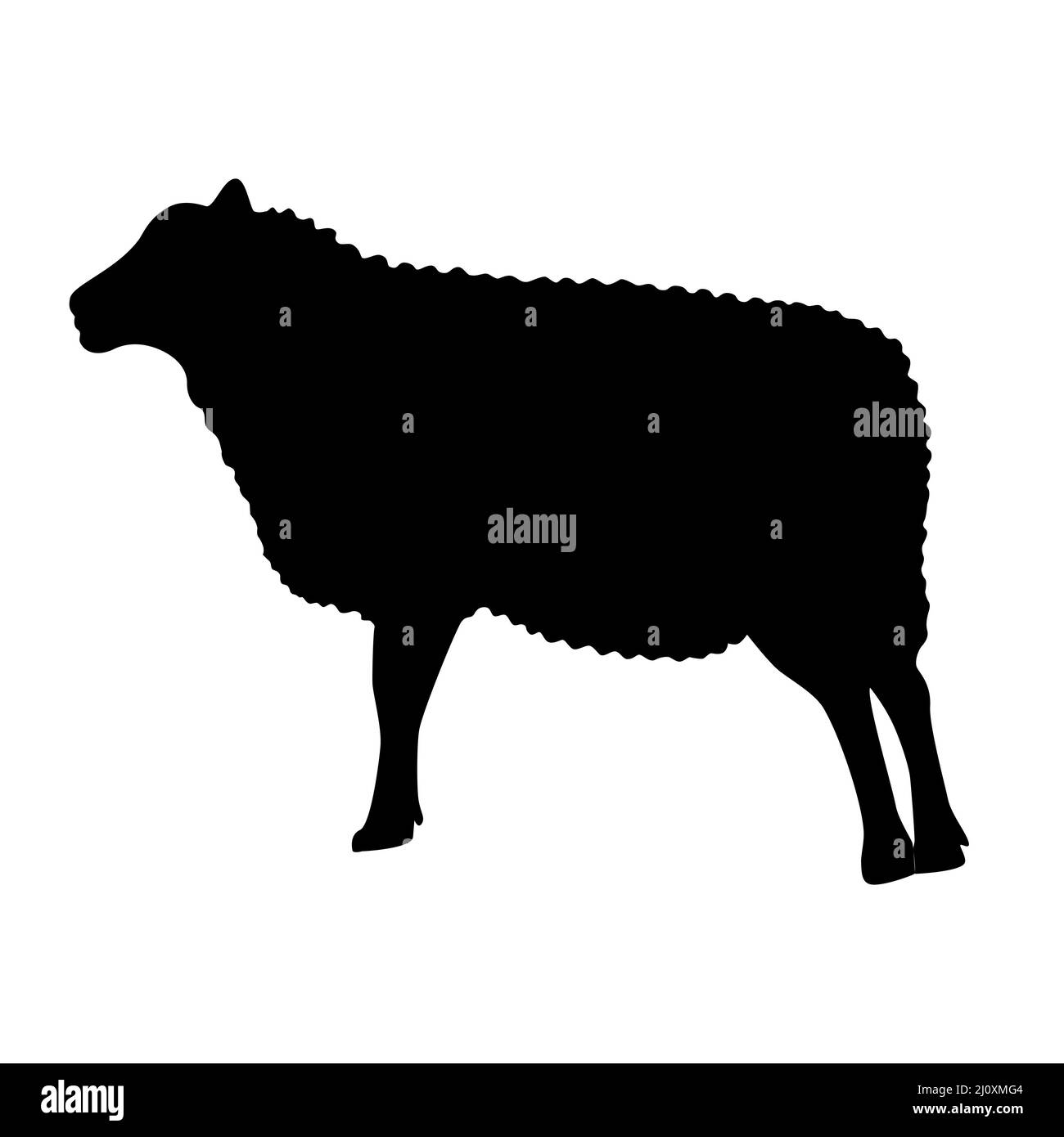 Sheep silhouette isolated vector illustration. Farm livestock black ...