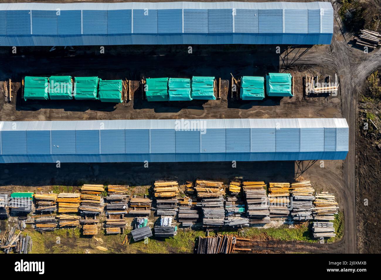 Log storage for sawn timber for export. Lumberjack port business ...
