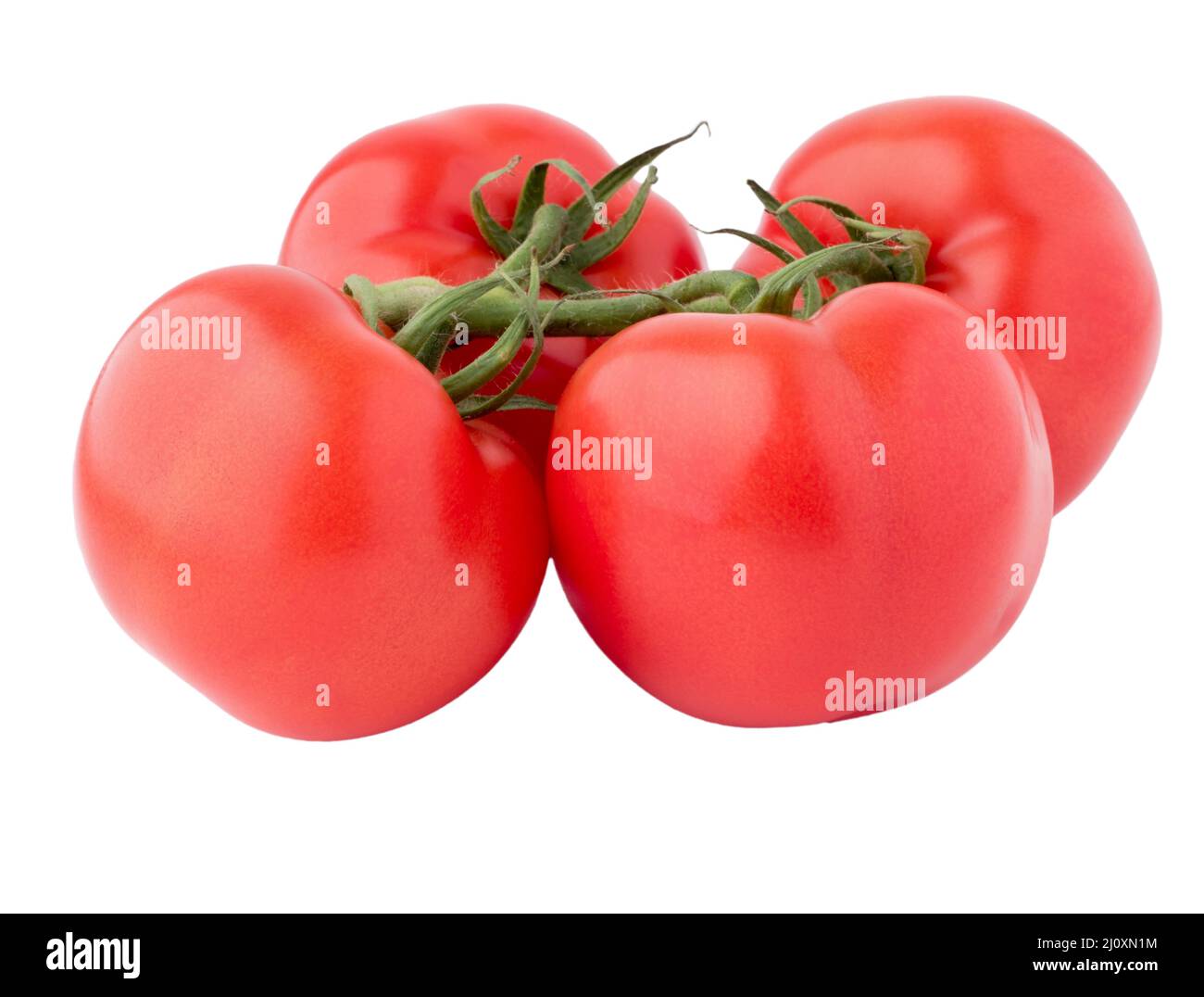 Image of tomatoes hi-res stock photography and images - Alamy