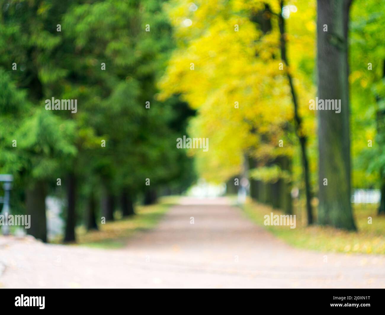 Blurred walk image hi-res stock photography and images - Alamy