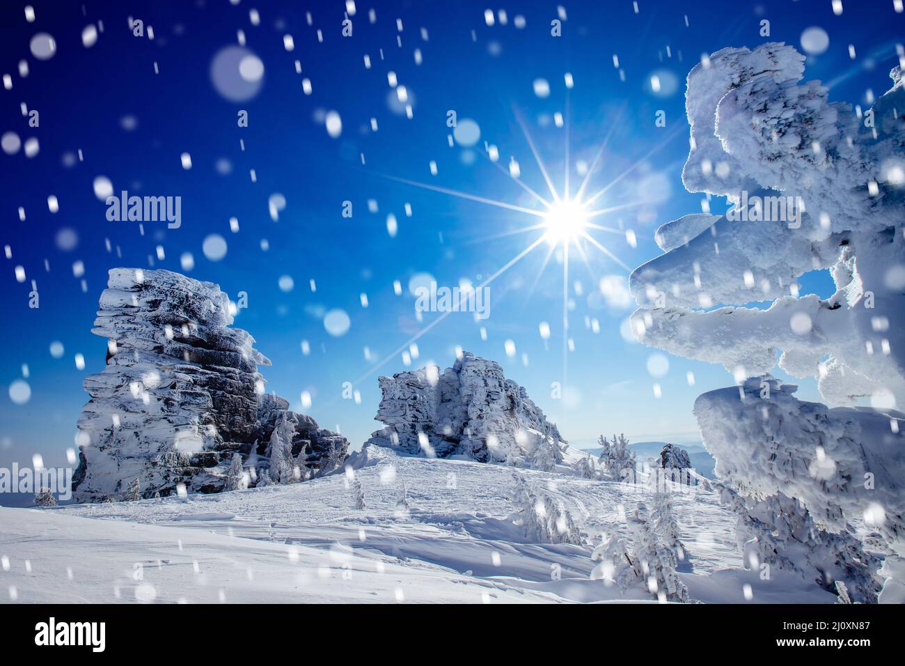 Beautiful winter view in dream, snow covered spruce and frozen sheer ...