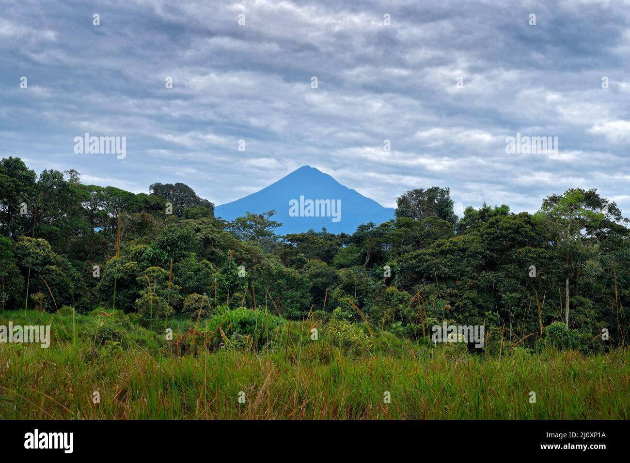 Sumaco volcano in Ecuador. Hill in the grey cloud, green tropic forest ...