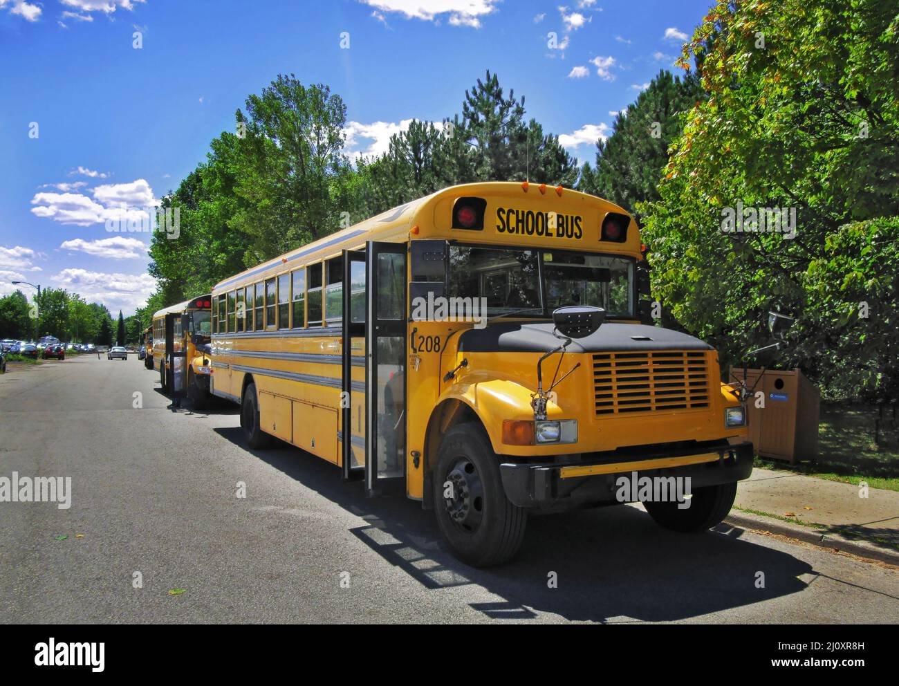 Yellow school buses parked in front of green trees under spectacular ...