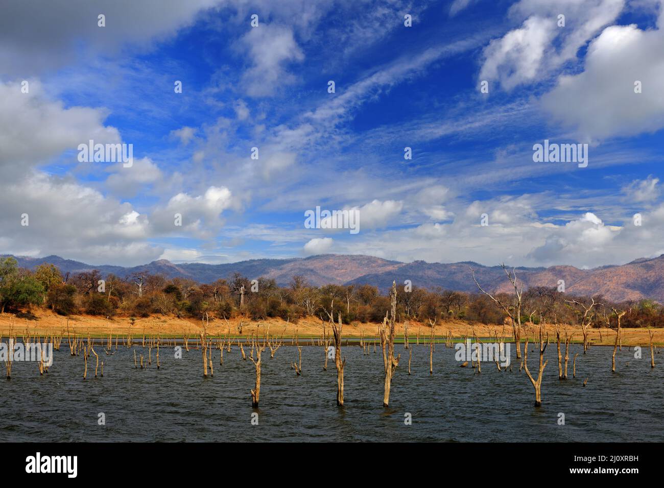 Lake Kariba. Dead trees and reflection of the sky, Zambezi river ...