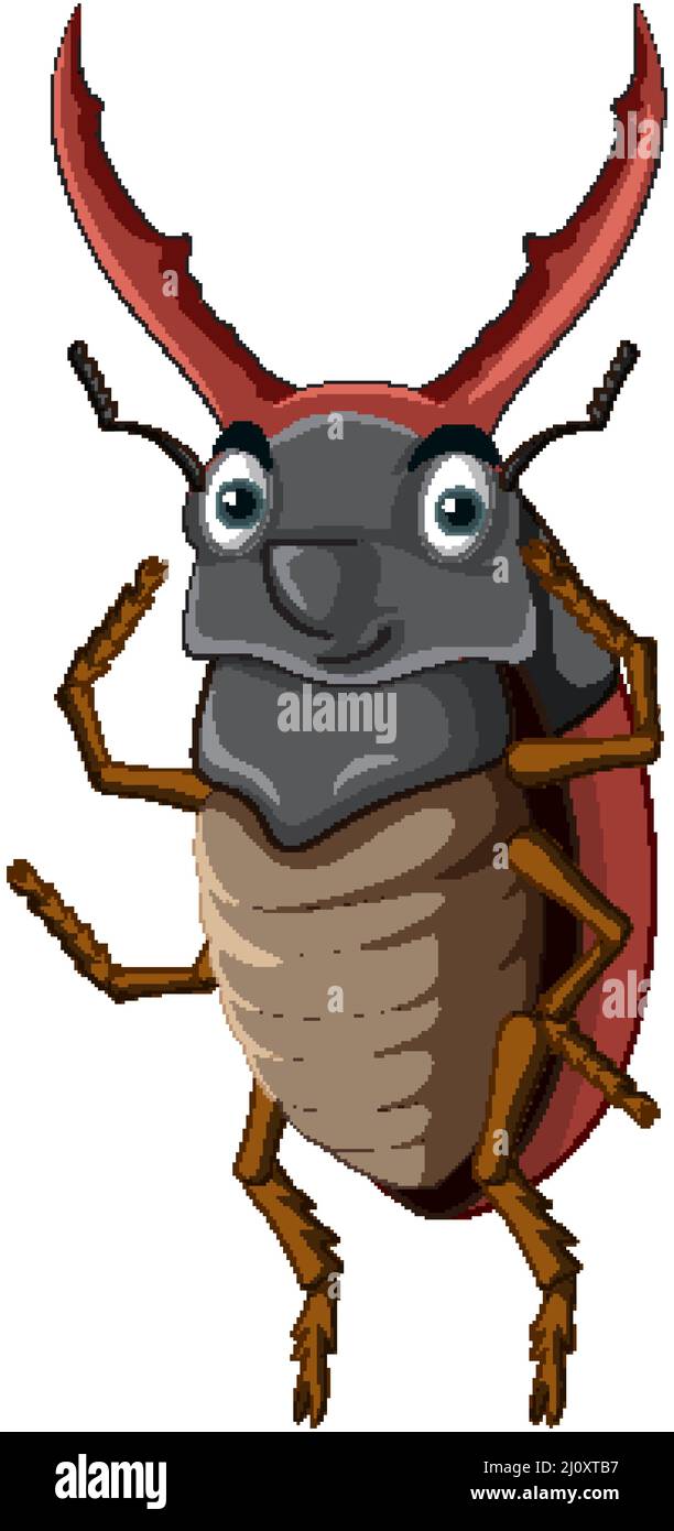 A beetle cartoon character isolated illustration Stock Vector Image ...