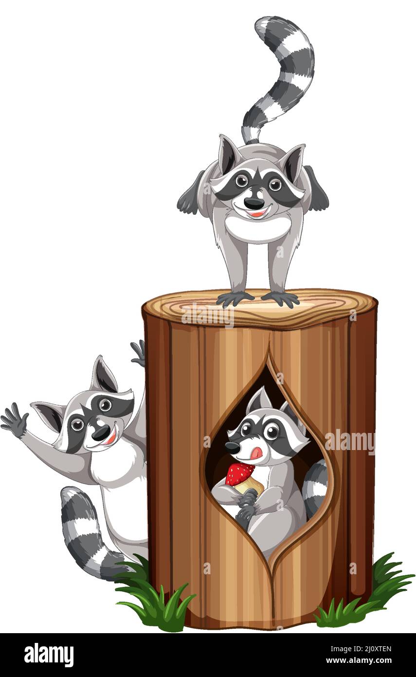 Three raccoons hi-res stock photography and images - Alamy