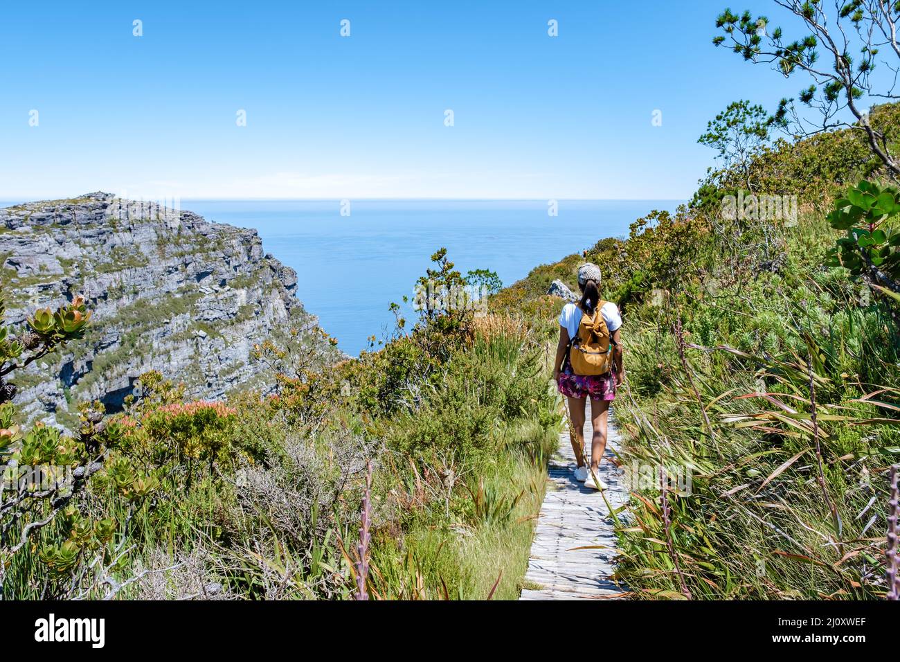 View from the Table Mountain in Cape Town South Africa, view over ocean ...