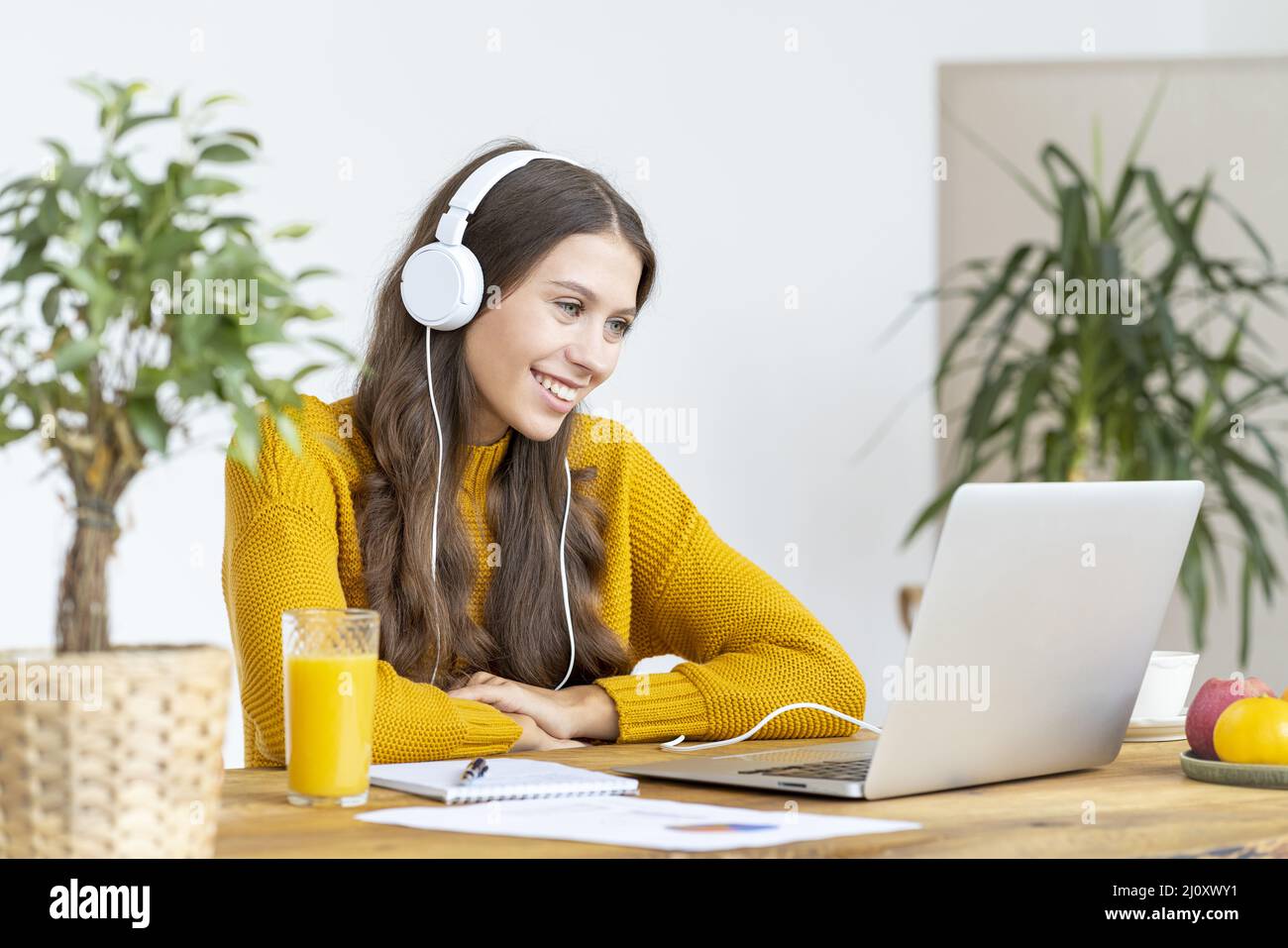 Video conference calls hi-res stock photography and images - Alamy
