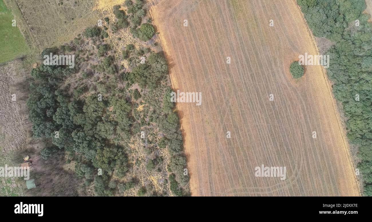 top view with drone of plowed fields bordered by oak trees Stock Photo ...