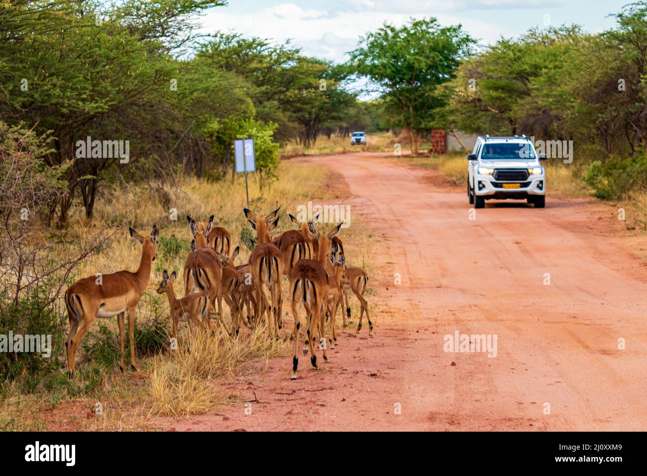 Tour game hi-res stock photography and images - Alamy