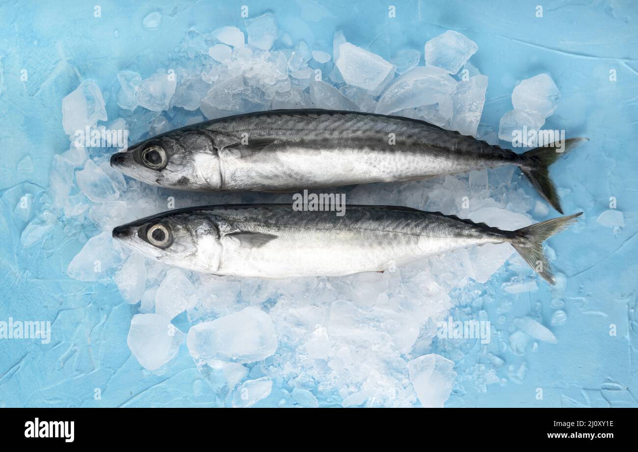 Top view pair fish with ice. High quality photo Stock Photo - Alamy