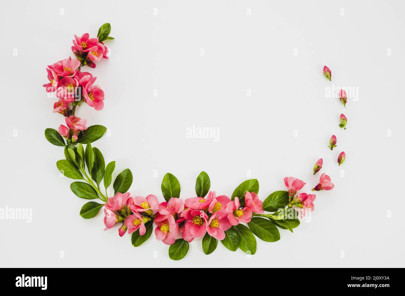Laurel garland hi-res stock photography and images - Alamy
