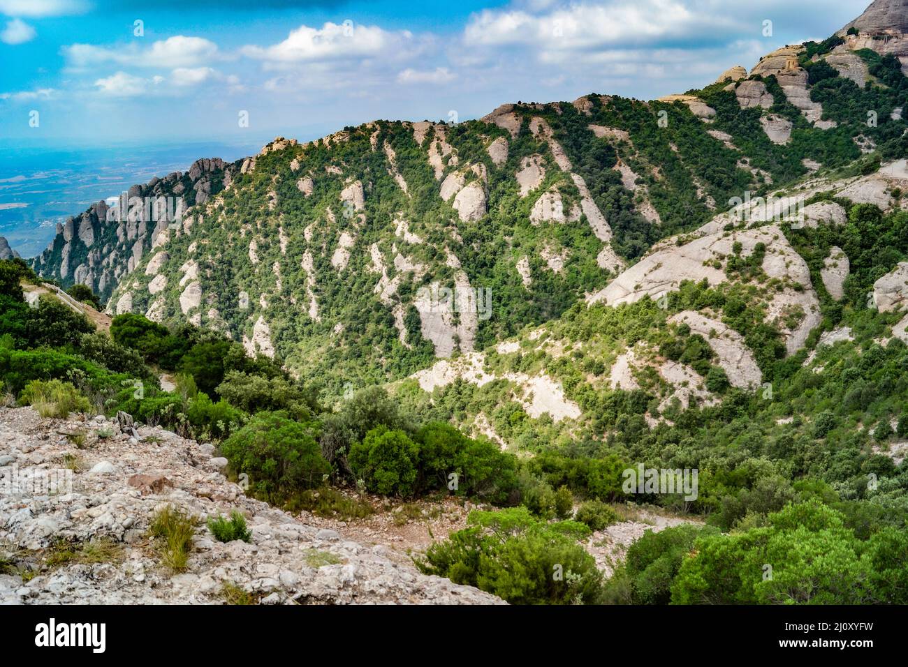 Moncera hi-res stock photography and images - Alamy