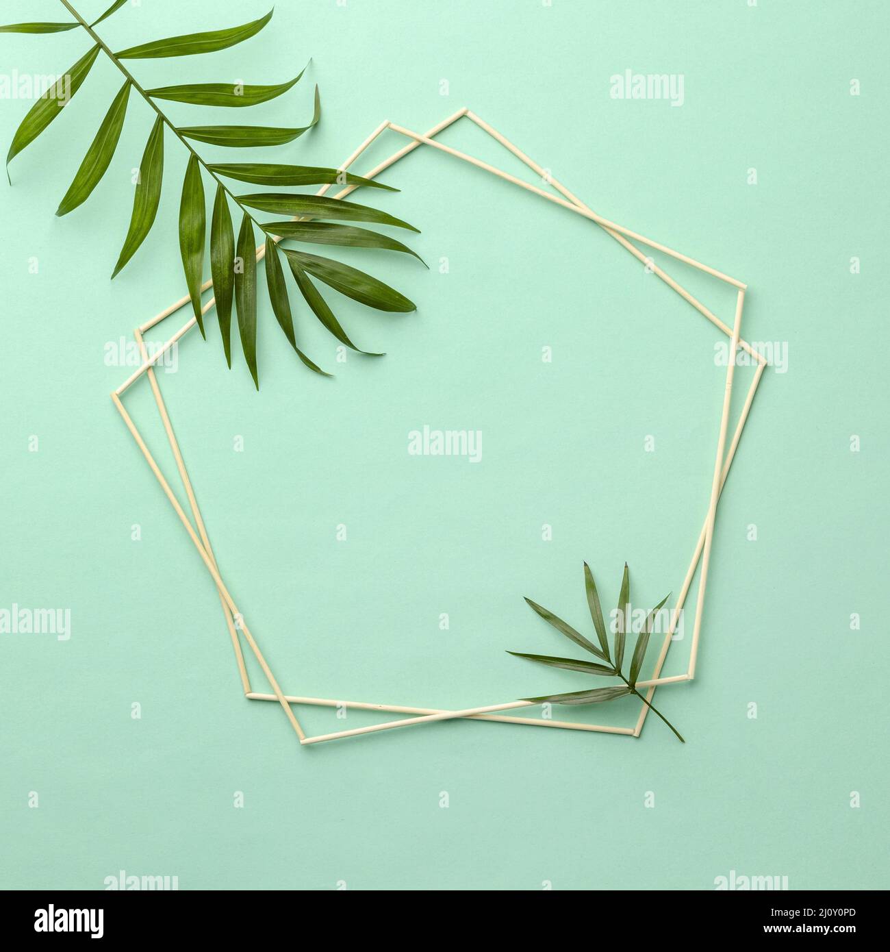 Assortment green leaves with empty frame. High quality photo Stock ...