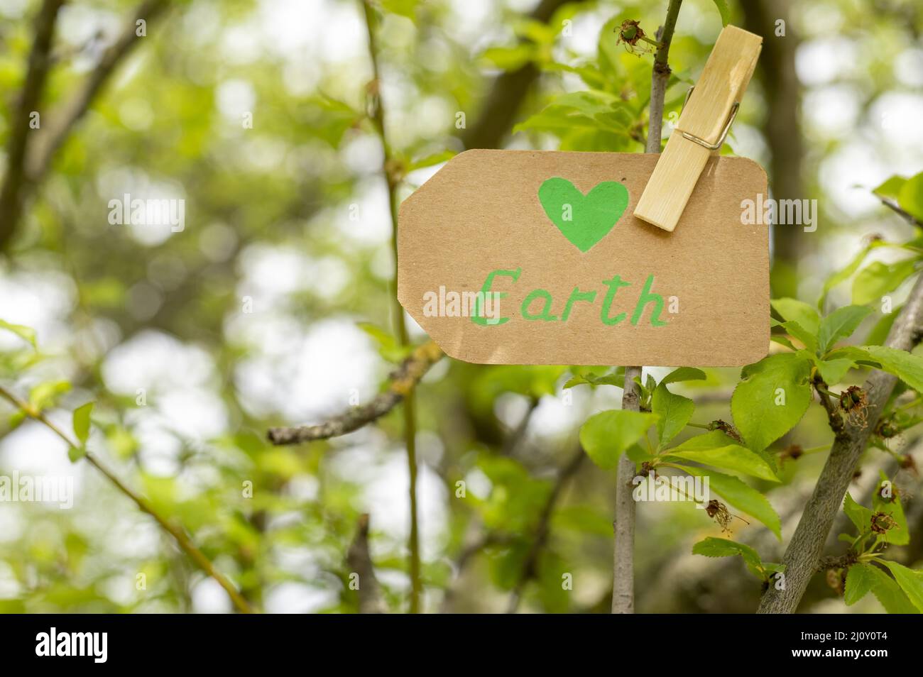 Earth sign tree Stock Photo - Alamy