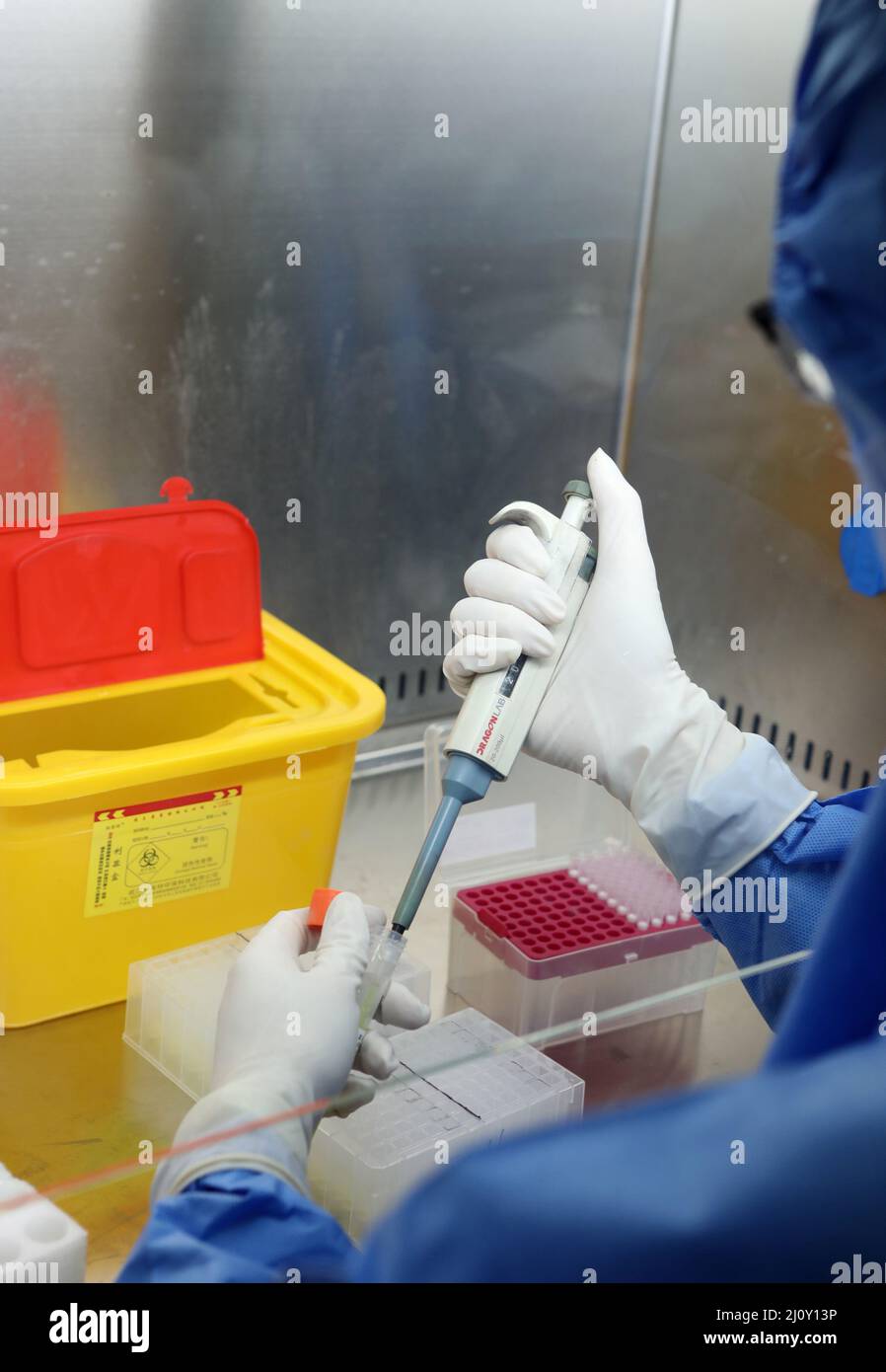 CHONGQING, CHINA - MARCH 21, 2022 - A medical worker adds specimens at ...