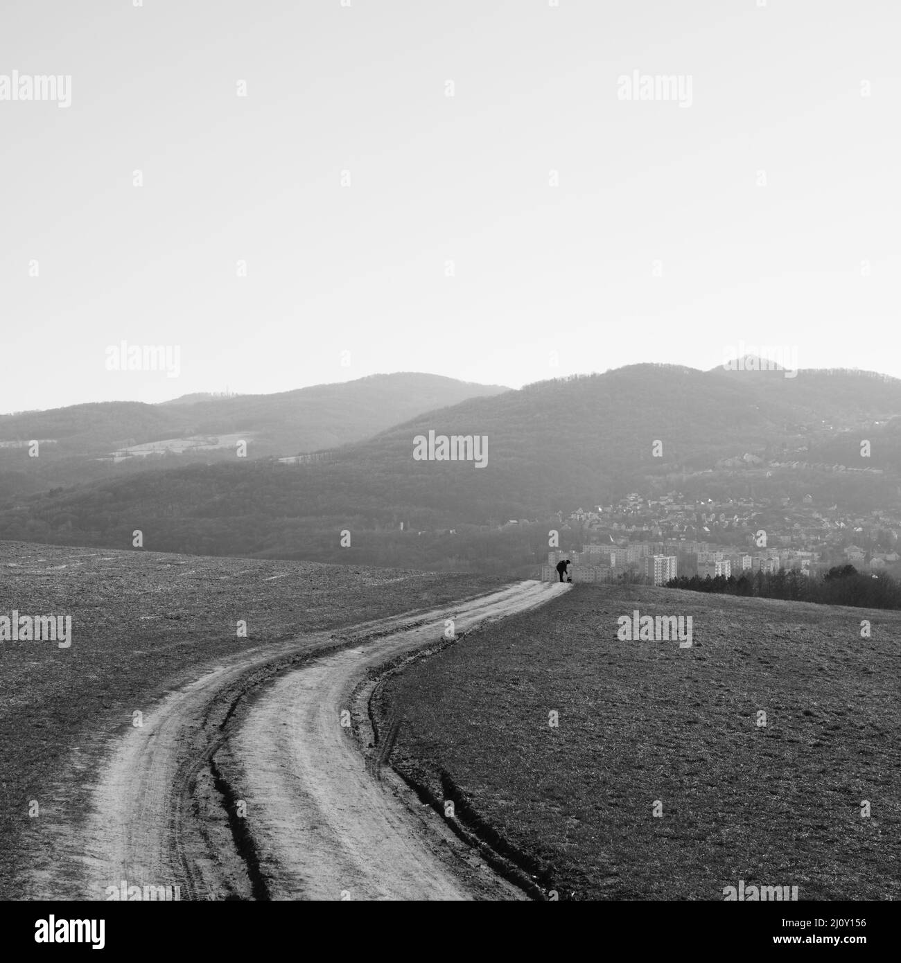 Grayscale view of a long walking path in the middle of large fields ...