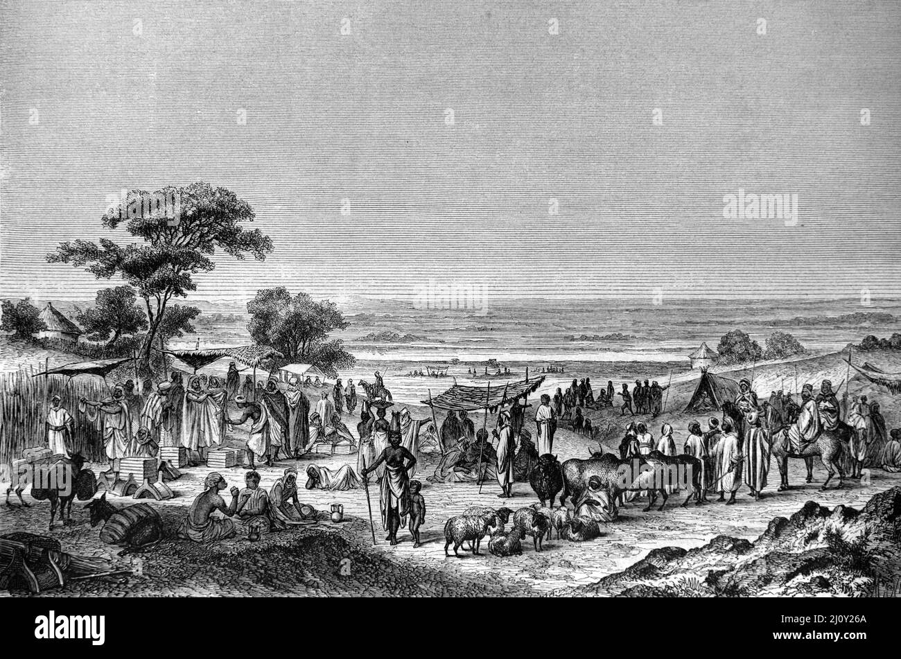 Market Scene, Market Stalls and Cattle Market Sokoto Nigeria. Vintage ...