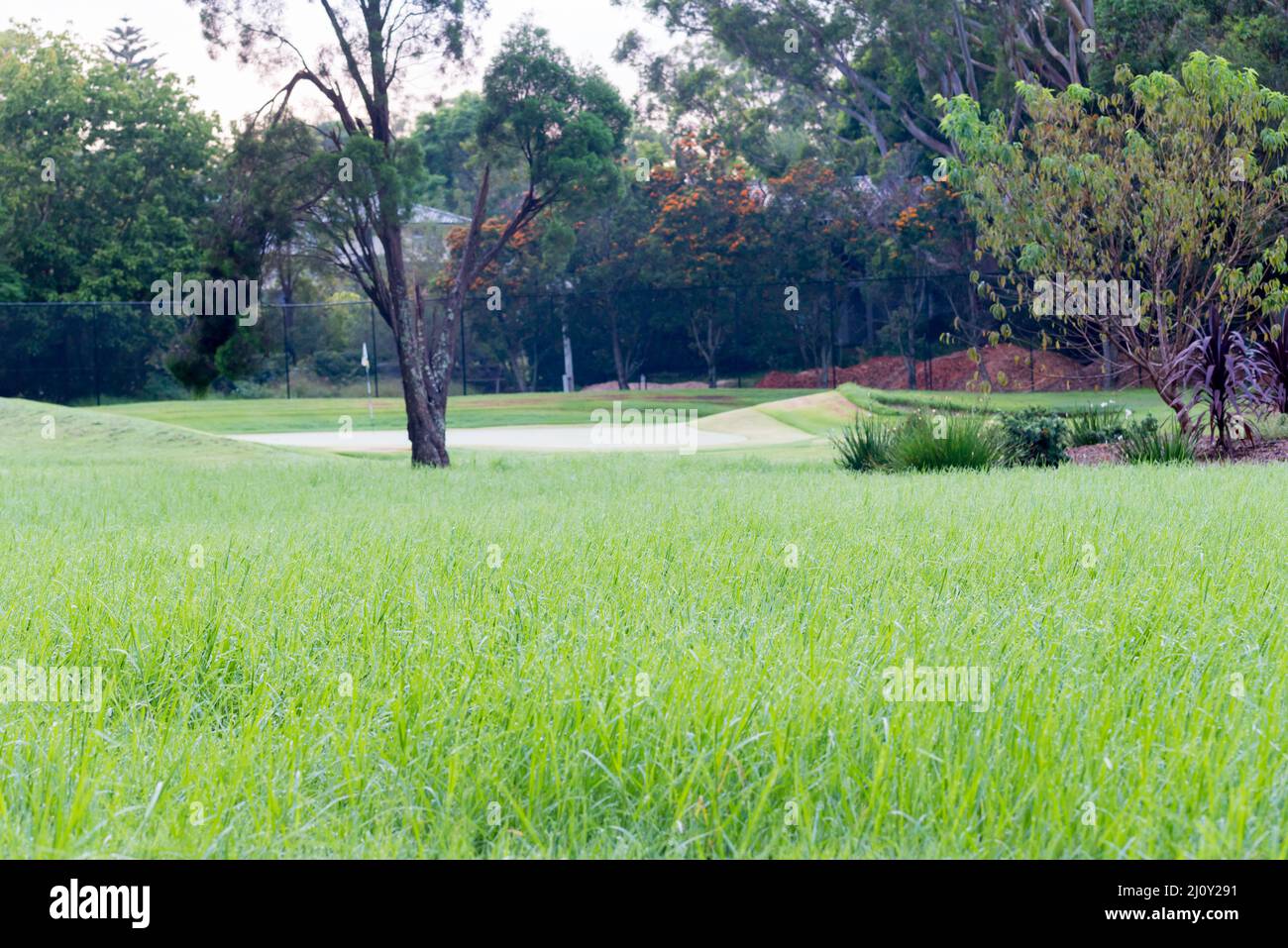 March 12, 2022, Gordon Golf Course, Sydney, Aust: After two weeks of ...