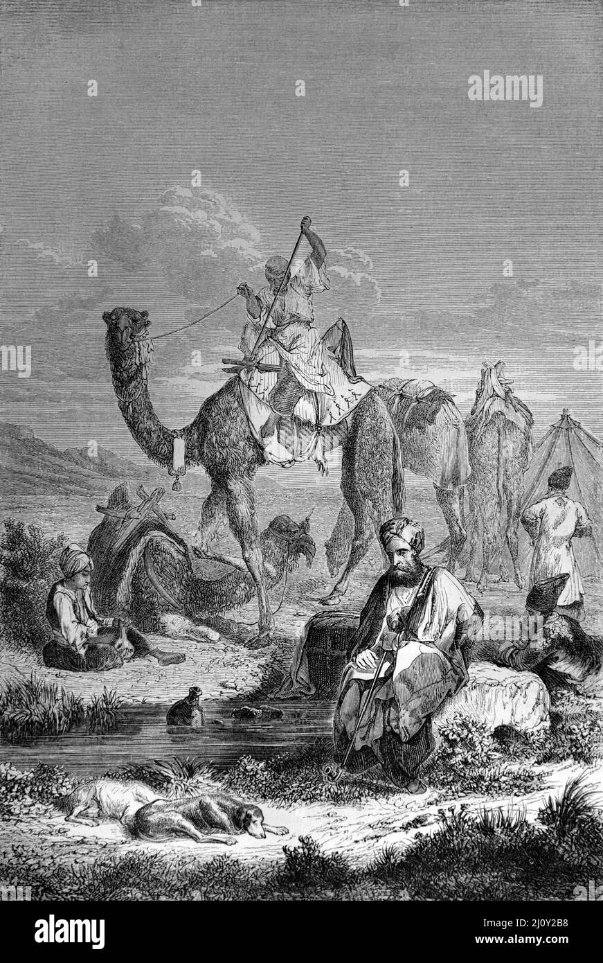 Persian Camel Caravan at Rest Persia or Iran on the Silk Road. Vintage ...