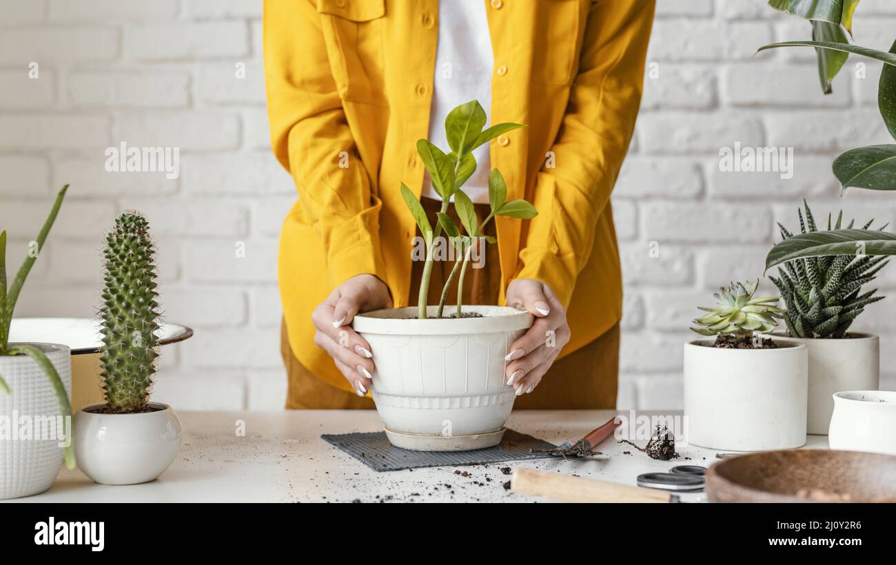 Woman taking care hi-res stock photography and images - Alamy