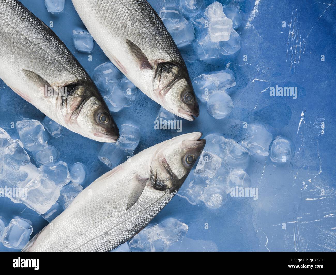 Top view fish ice cubes. High quality photo Stock Photo - Alamy