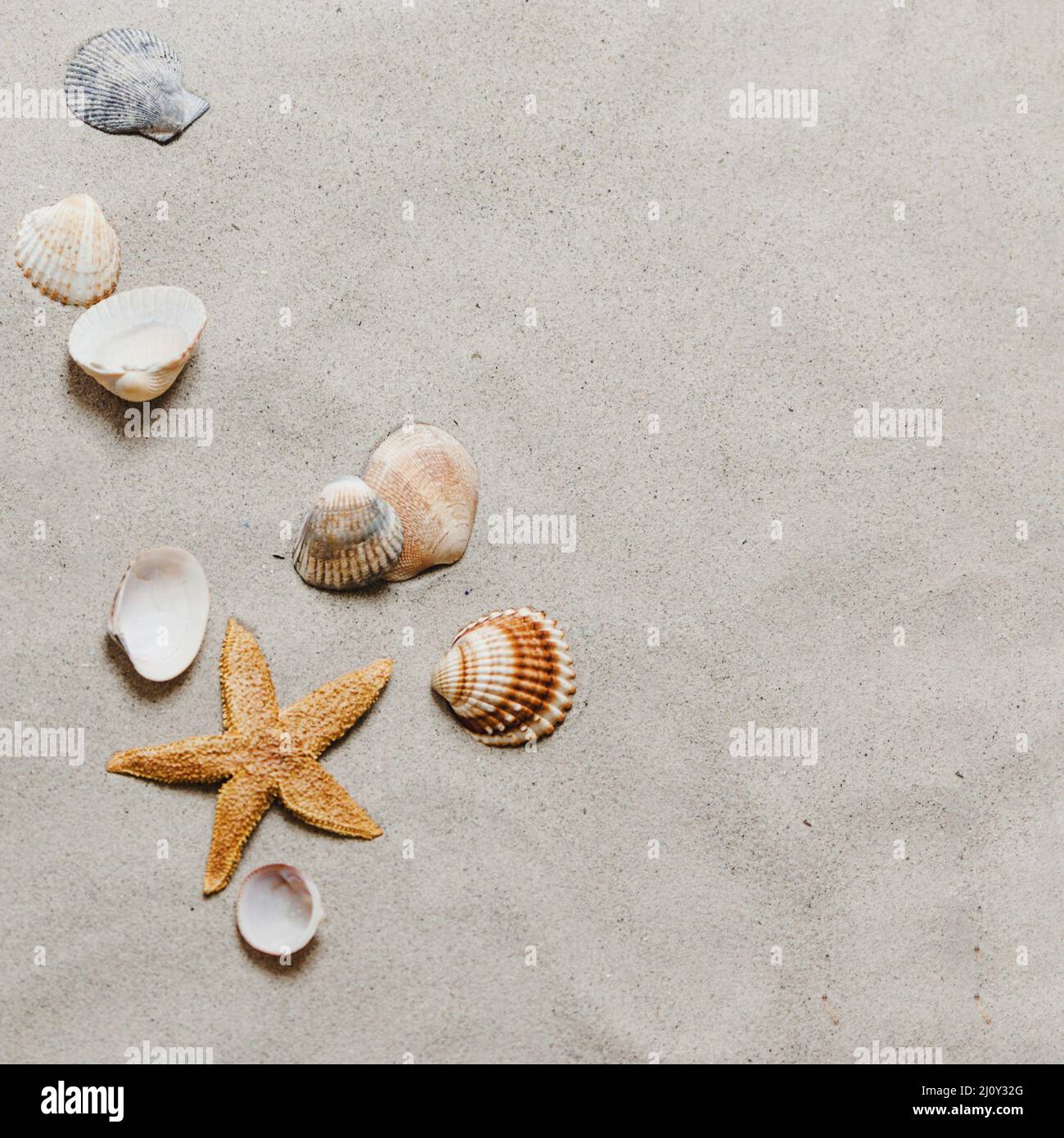Starfish photo hi-res stock photography and images - Alamy