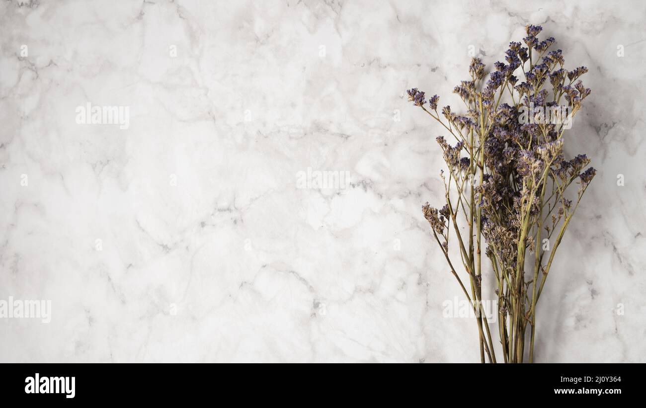 Photo bouquet hi-res stock photography and images - Alamy