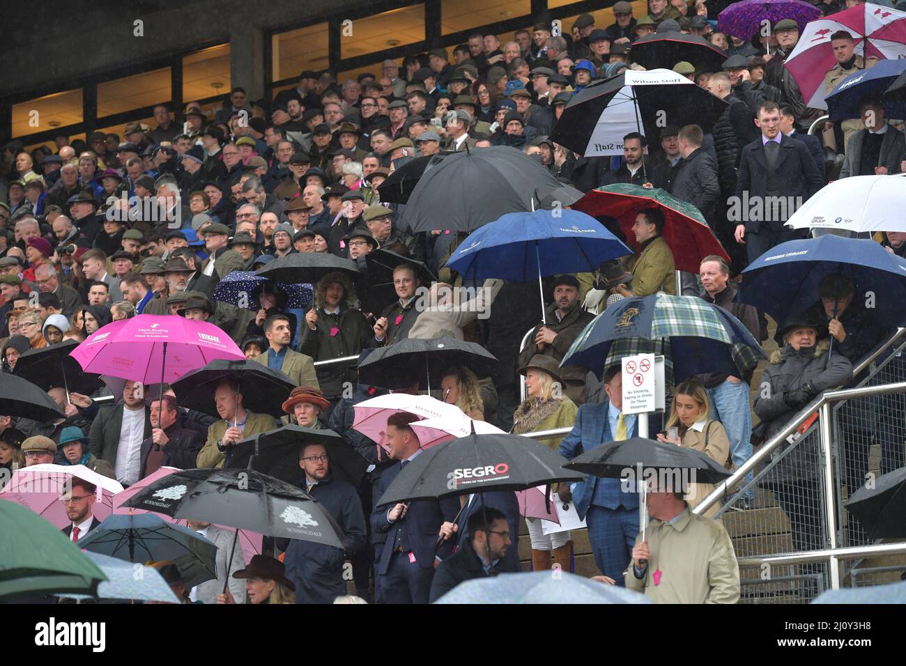 Crowds watching the first race Day 2, racing at the Cheltenham Gold Cup ...