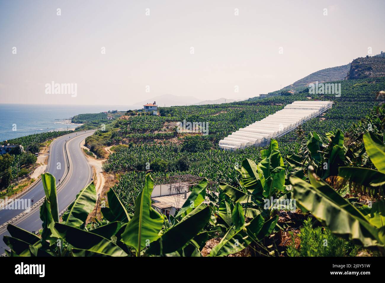 Nice view of the trees and the road that stretches along the ...
